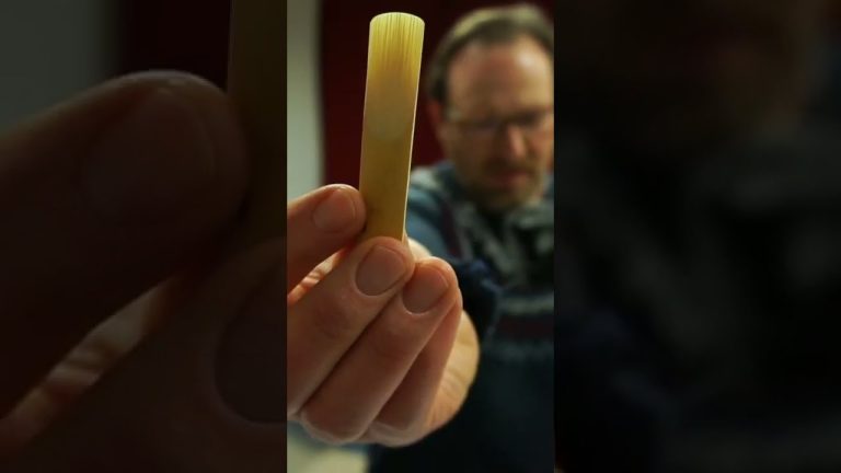 Filed oder Unfiled Reeds - Saxophon Blätter - Der Unterschied zwischen ...